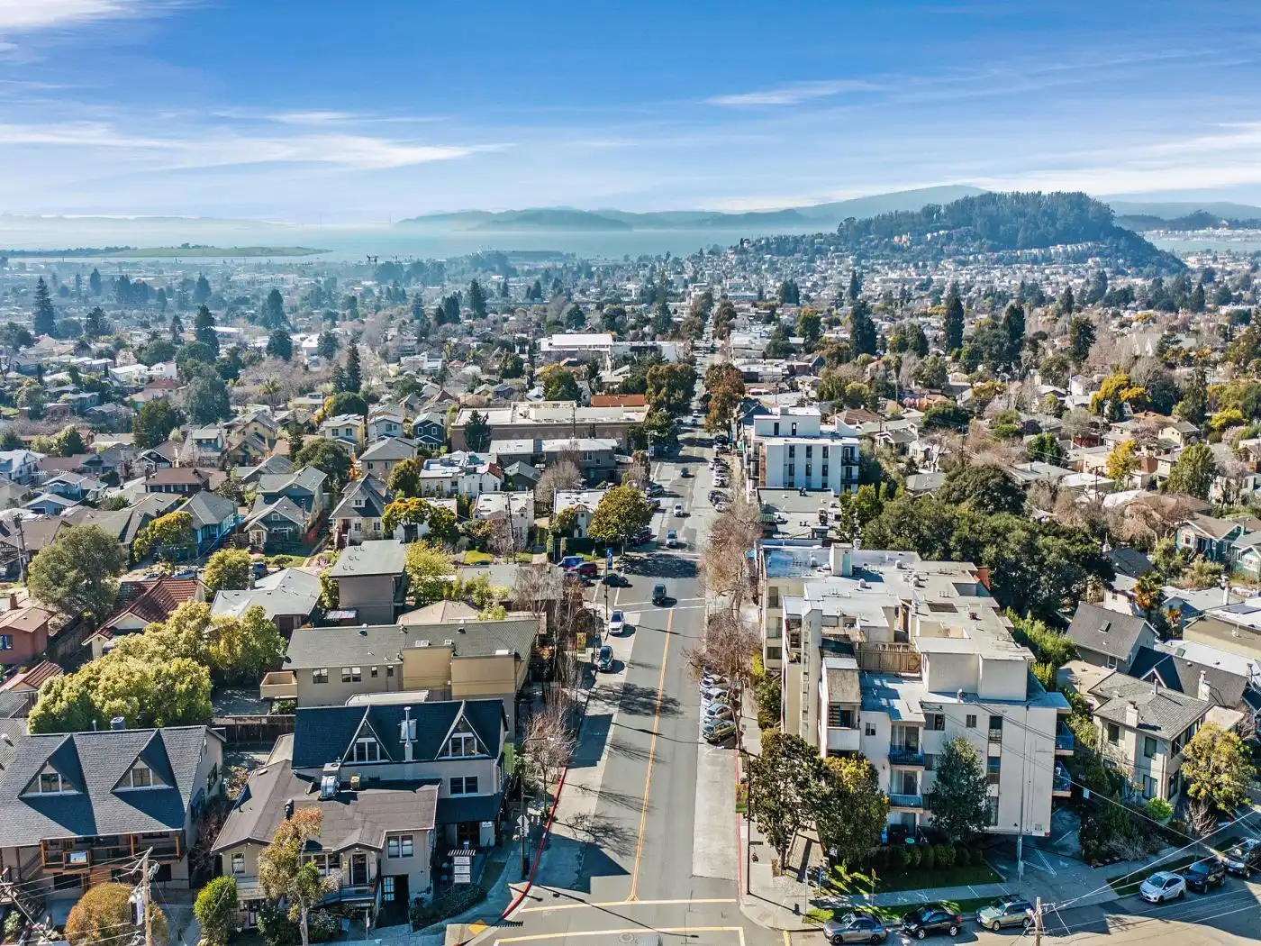 City of Albany Insights - Winkler Real Estate Group